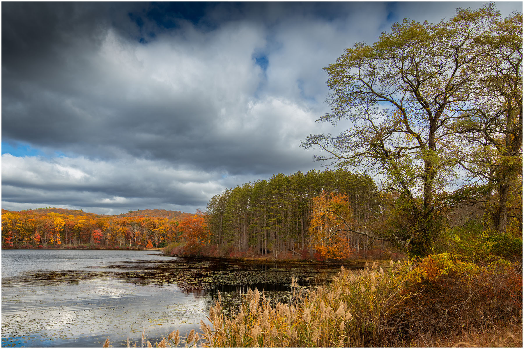 NOVEMBER 2025 GROUP A – COLOR DIGITAL – SEQCC – Southeast Queens Camera ...