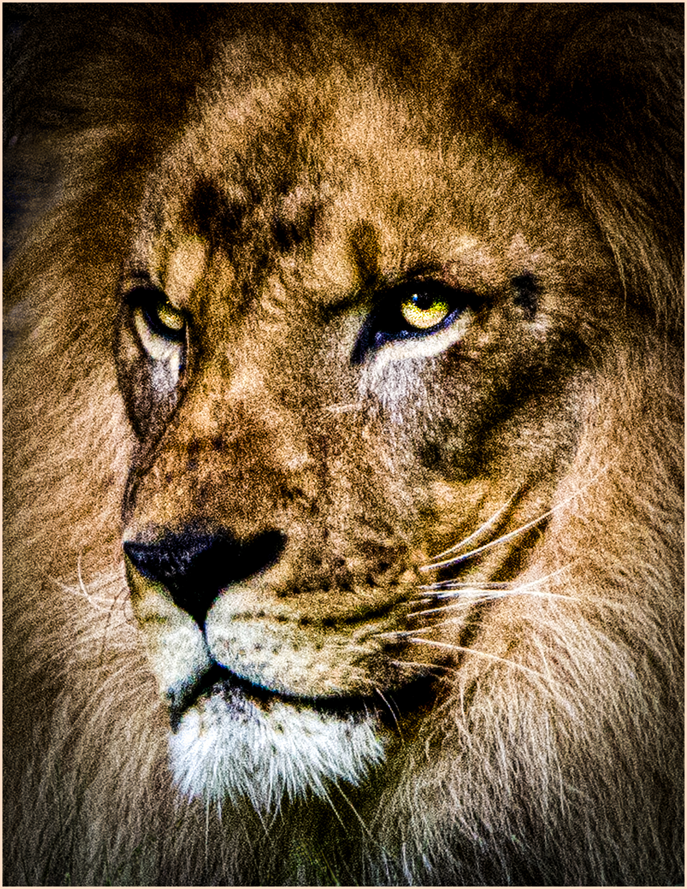 OCTOBER 2025 SALON – COLOR DIGITAL – SEQCC – Southeast Queens Camera Club