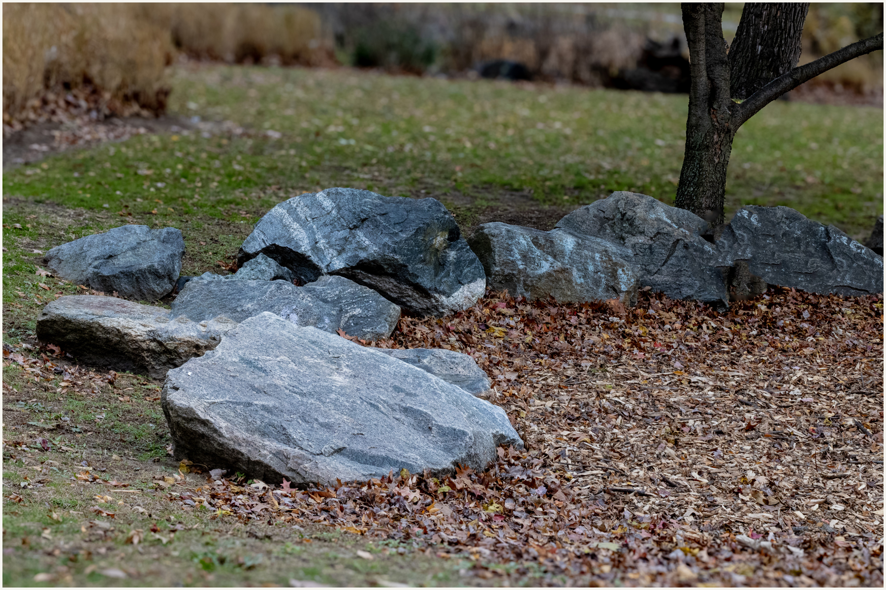 NOVEMBER 2025 GROUP A – COLOR DIGITAL – SEQCC – Southeast Queens Camera ...