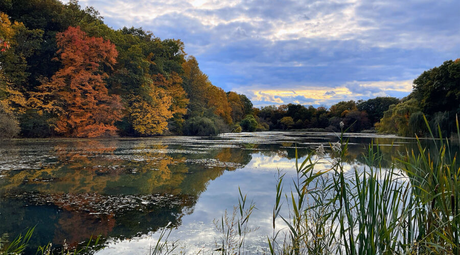 OCTOBER 2025 GROUP B – COLOR PRINT – SEQCC – Southeast Queens Camera Club